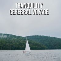 Tranquility Cerebral Voyage MP3 Song Download | Tranquility Cerebral Voyage @ WynkMusic