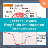 Listen Online Podcast Theory part | CBSE | Class 11 | Biology | Body ...