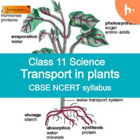 Listen Online Podcast Theory part 2 | CBSE | Class 11 | Biology ...