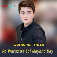Zalfay Ma Turawa MP3 Song Download | Pa Waraz Ke Sal Mayana Dey @ WynkMusic