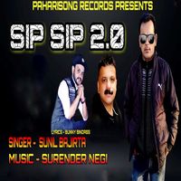 Naag Re Pujarli MP3 Song Download | Sip Sip 2.0 @ WynkMusic