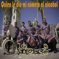 Quien Le Dio Mi Número al Alcohol - Play & Download All MP3 Songs ...