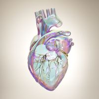 Quién MP3 Song Download