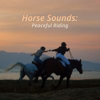 Riding in Hollow Woods MP3 Song Download | Horse Sounds: Peaceful ...