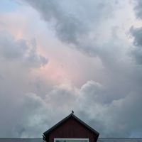 Stowaway MP3 Song Download | Yawawots @ WynkMusic