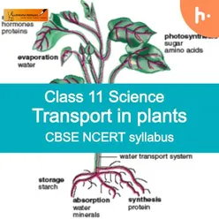 Listen Online Podcast Theory part 2 | CBSE | Class 11 | Biology ...