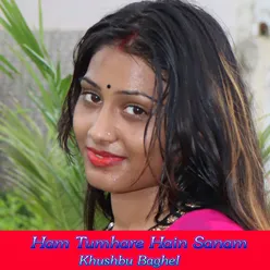 Ham Tumhare Hain Sanam - Play & Download All MP3 Songs @WynkMusic