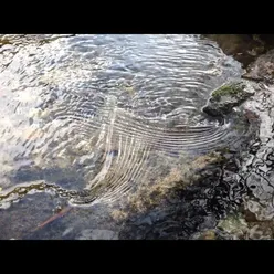 Tracking The Storm MP3 Song Download | Out Of The Loop @ WynkMusic