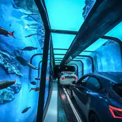 Krieg Piano Version MP3 Song Download | Krieg @ WynkMusic